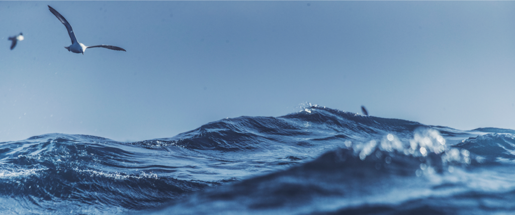 Resources - G&O Maritime Group